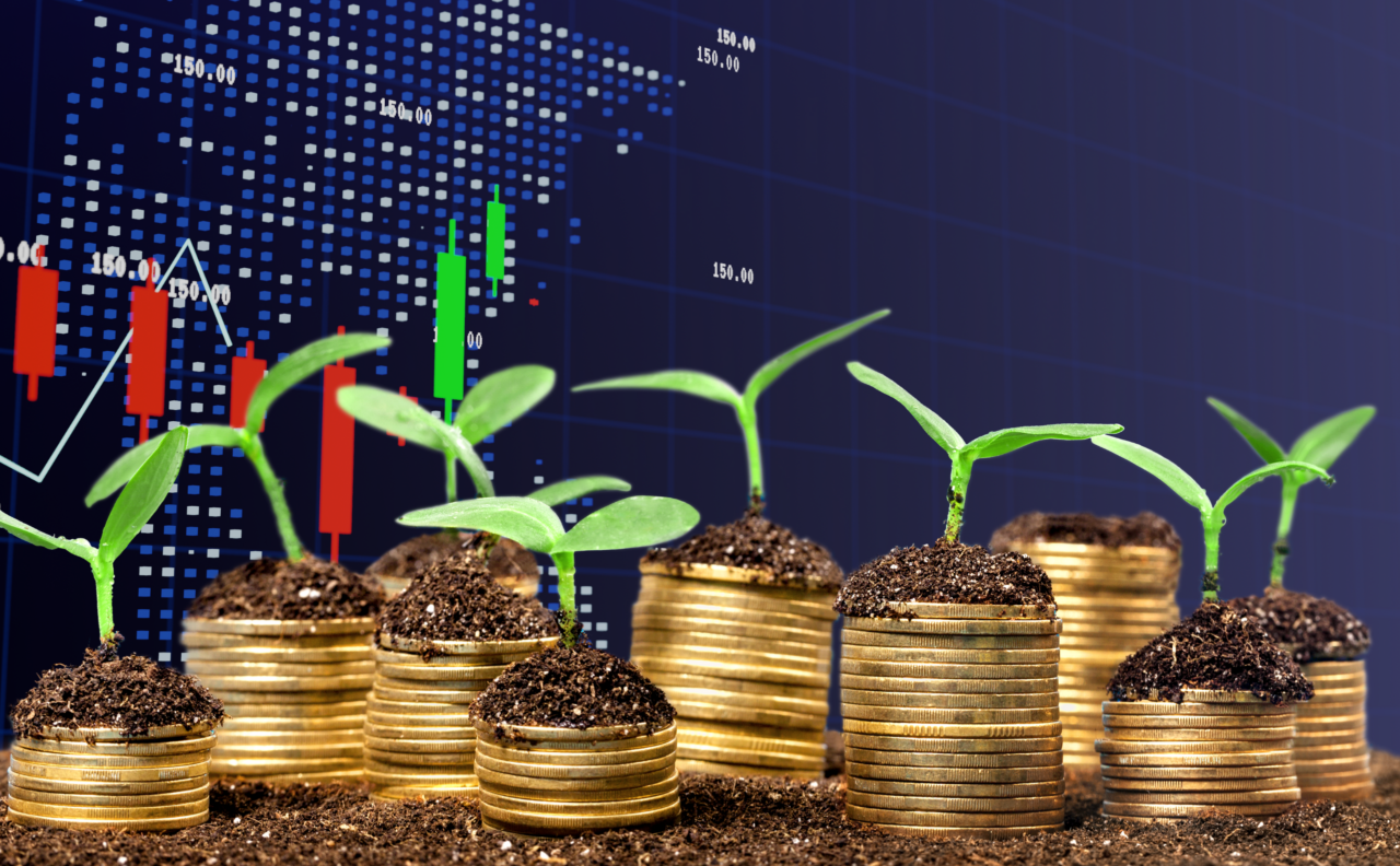 ¿Qué financian los bonos verdes? - Ecooo